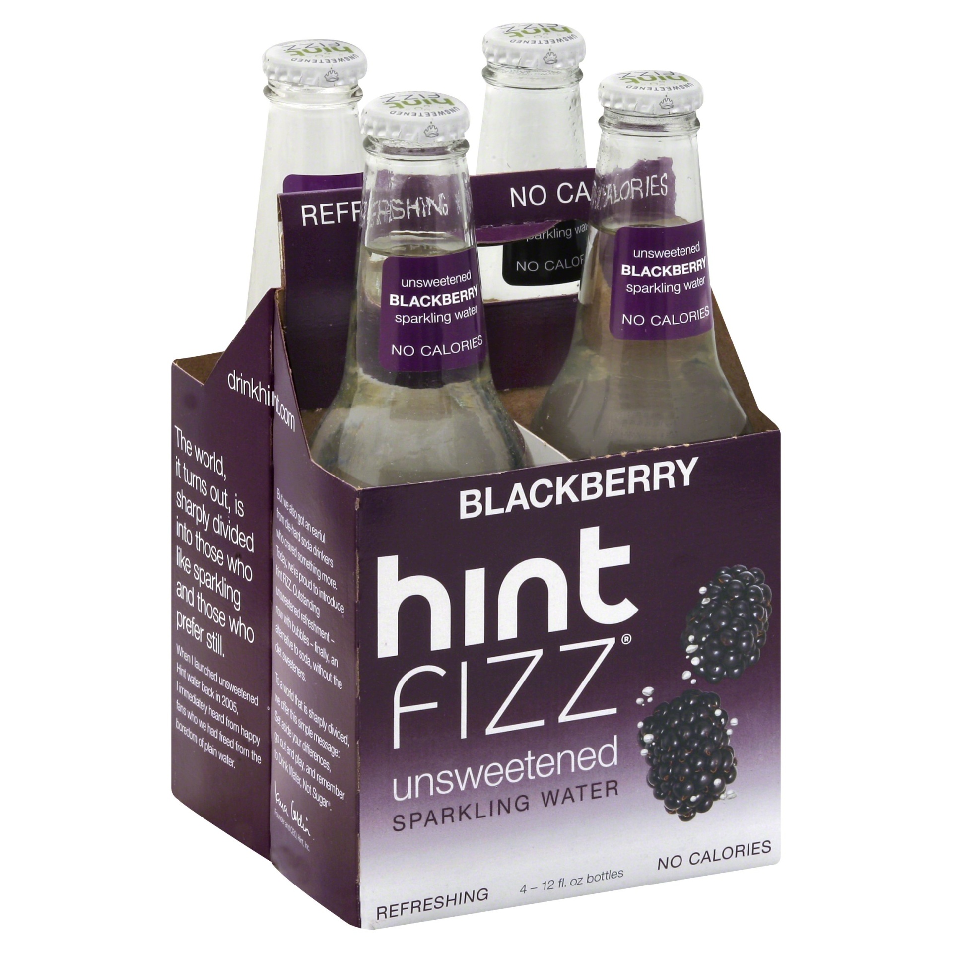hint Hint Fizz Blackberry 4 ct | Shipt