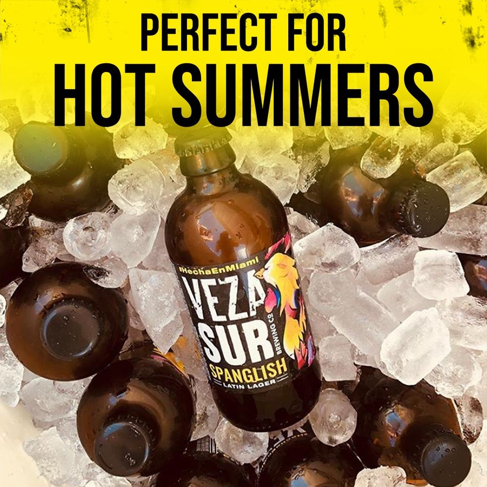 Veza Sur Brewing Co. Spanglish Latin Lager Craft Beer Beer 6 ct; 11 oz ...