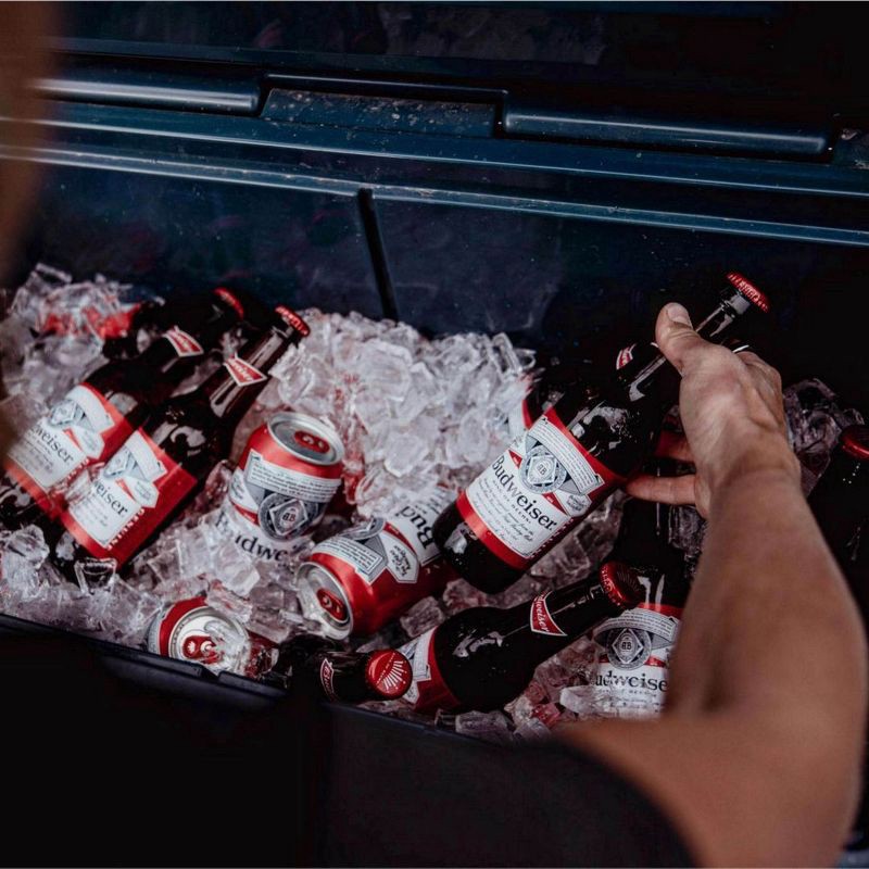 Budweiser Lager Beer - 30pk/12 fl oz Cans 30 ct; 12 fl oz | Shipt