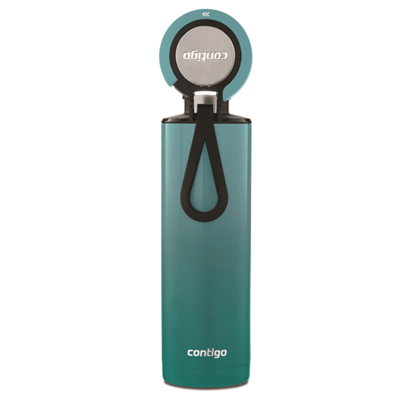 Contigo Evoke SS Bottle - Garnish 24 oz | Shipt