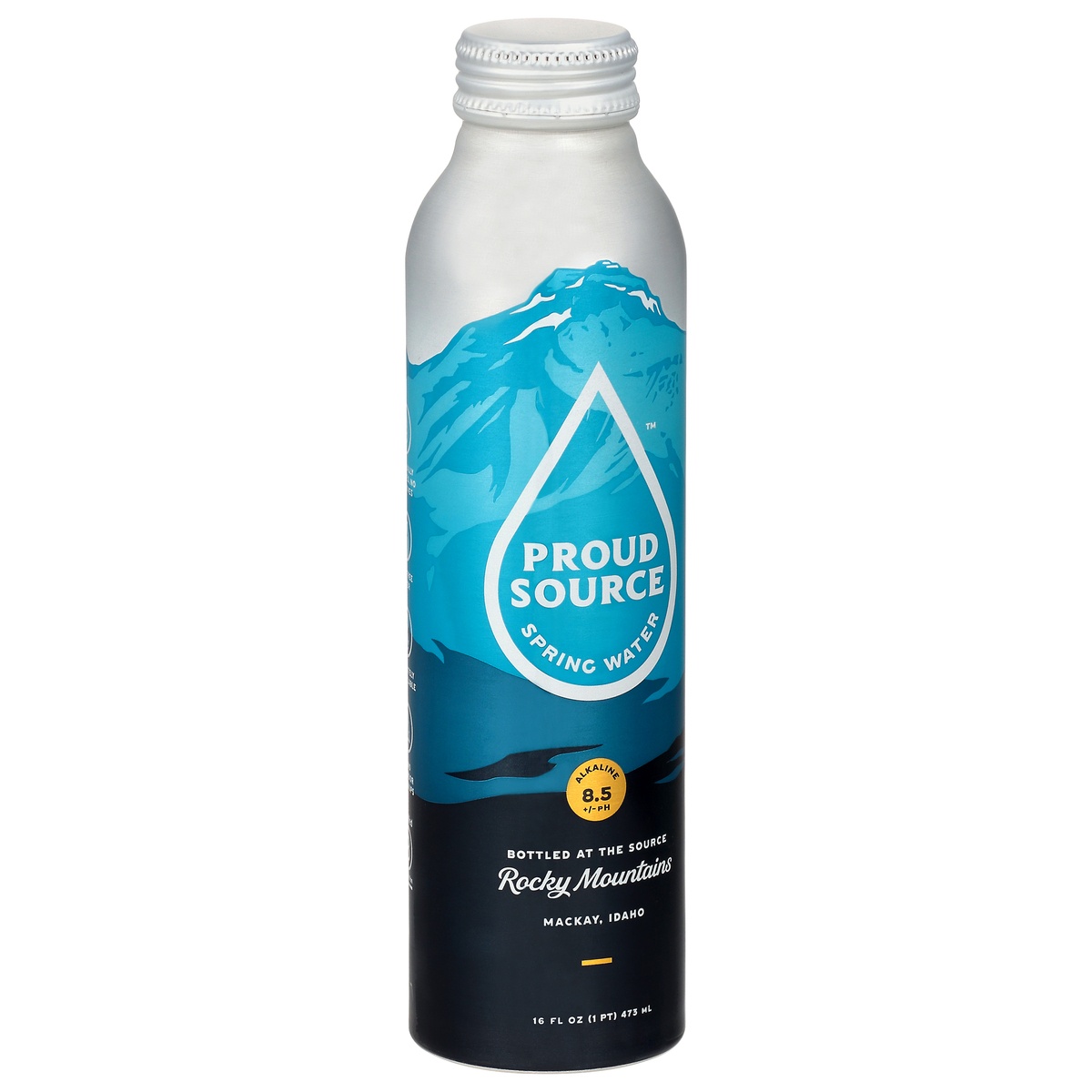 Proud Source Water 16 fl oz | Shipt