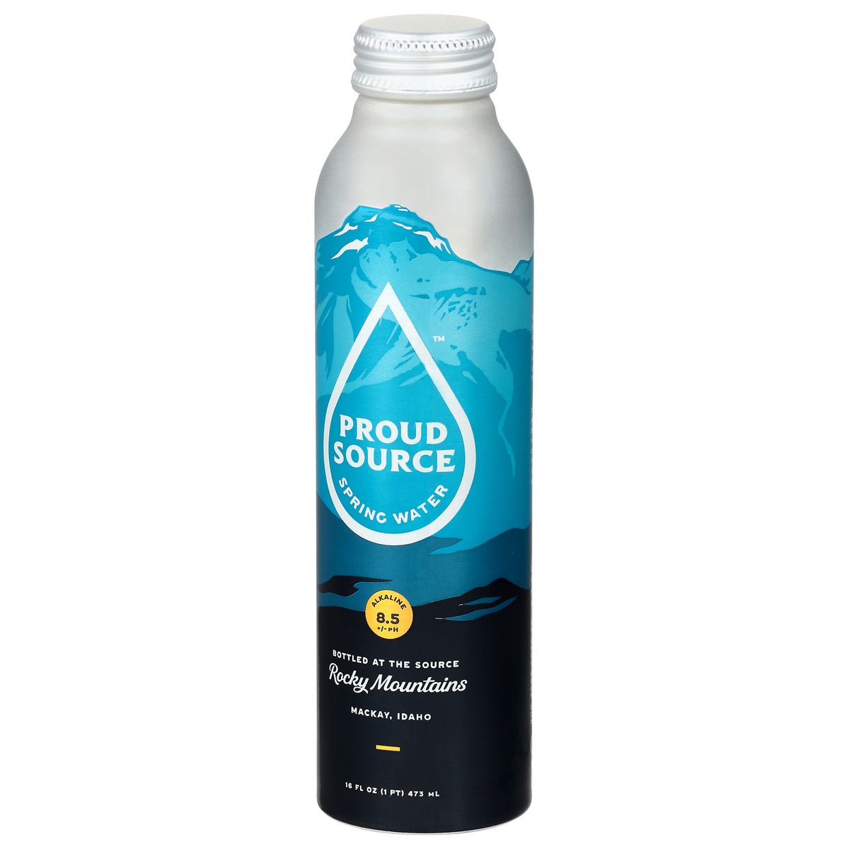 Proud Source Water 16 fl oz | Shipt