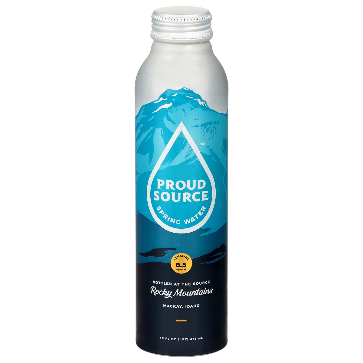 Proud Source Water 16 fl oz | Shipt
