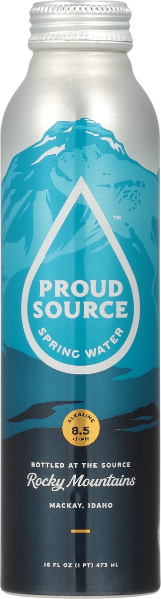 Proud Source Water 16 fl oz | Shipt