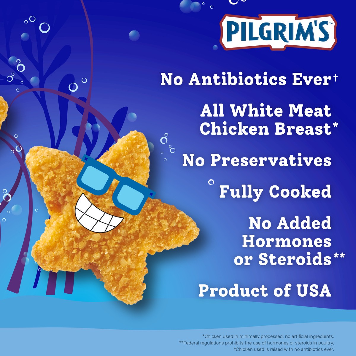 Pilgrim's Ocean Adventures Chicken Breast Nuggets 1.5 lb | shipt