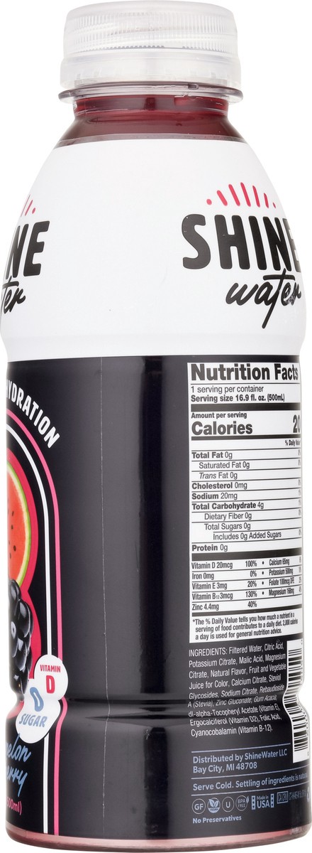Shine Water Watermelon Blackberry Powerful Hydration Water- 16.9 fl oz ...