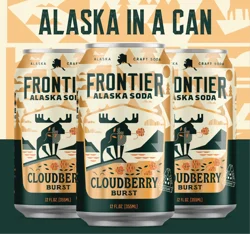 Frontier Alaska Cloudberry Burst Soda - 4 pk / 12 fl oz 4 ct | shipt