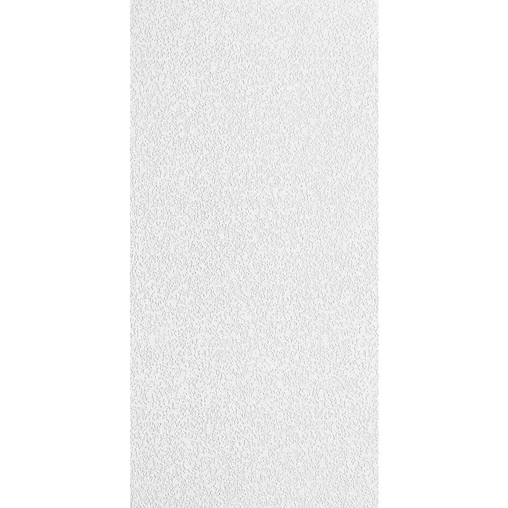 Armstrong Ceilings 4-ft x 2-ft Random Fissured Fiberglass Contractor ...