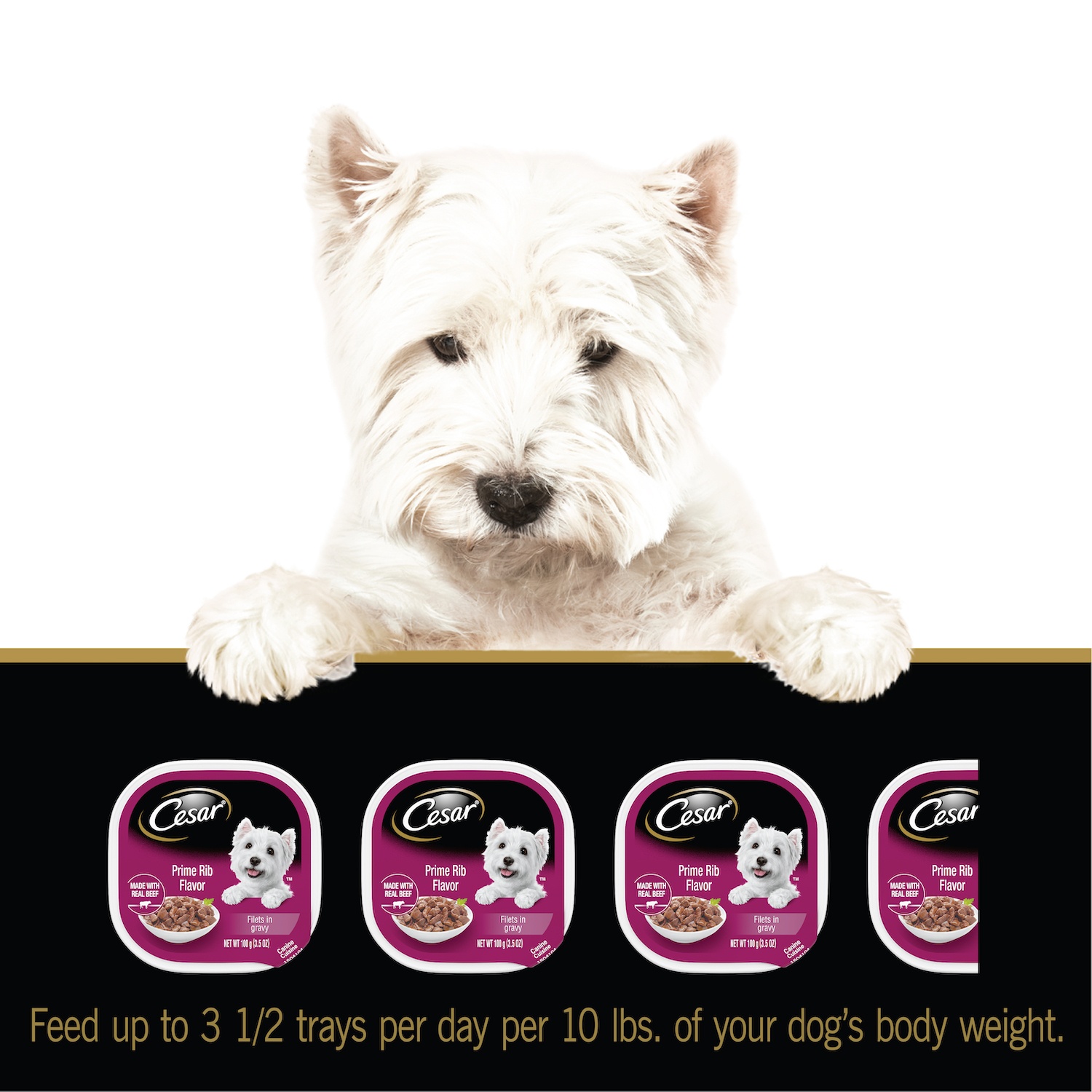 CESAR Adult Soft Wet Dog Food Filets in Gravy Prime Rib Flavor 3.5 oz ...