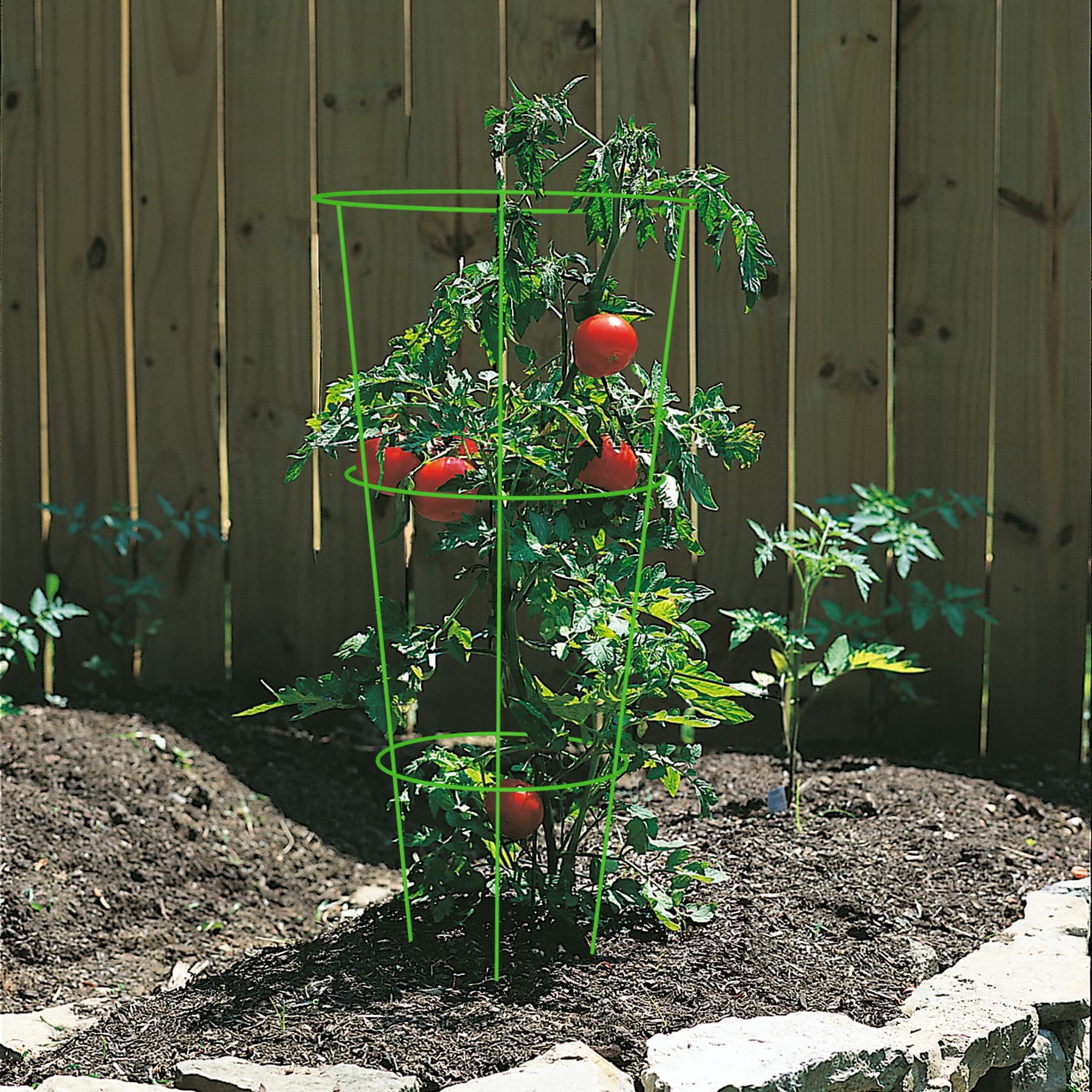 Panacea Products 42-in Powder-coated galvanized steel wire Round Tomato ...