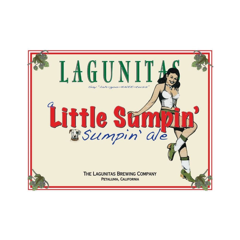 Lagunitas Little Sumpin' Sumpin' Ale Beer 12 ct; 12 fl oz | Shipt