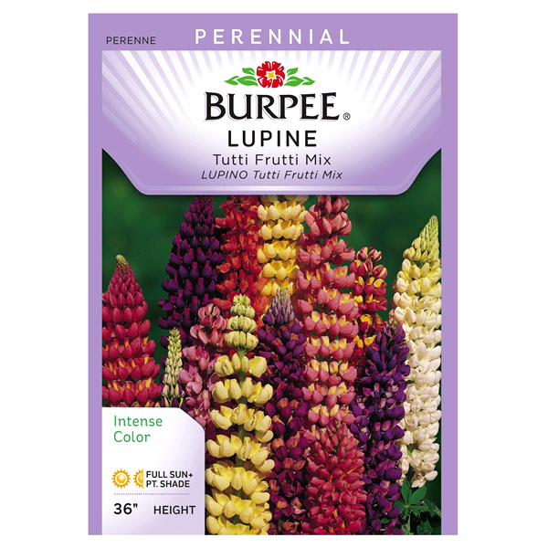 Burpee Lupine Tutti-Fruitti Mix Perennial Seeds 1 ct | Shipt