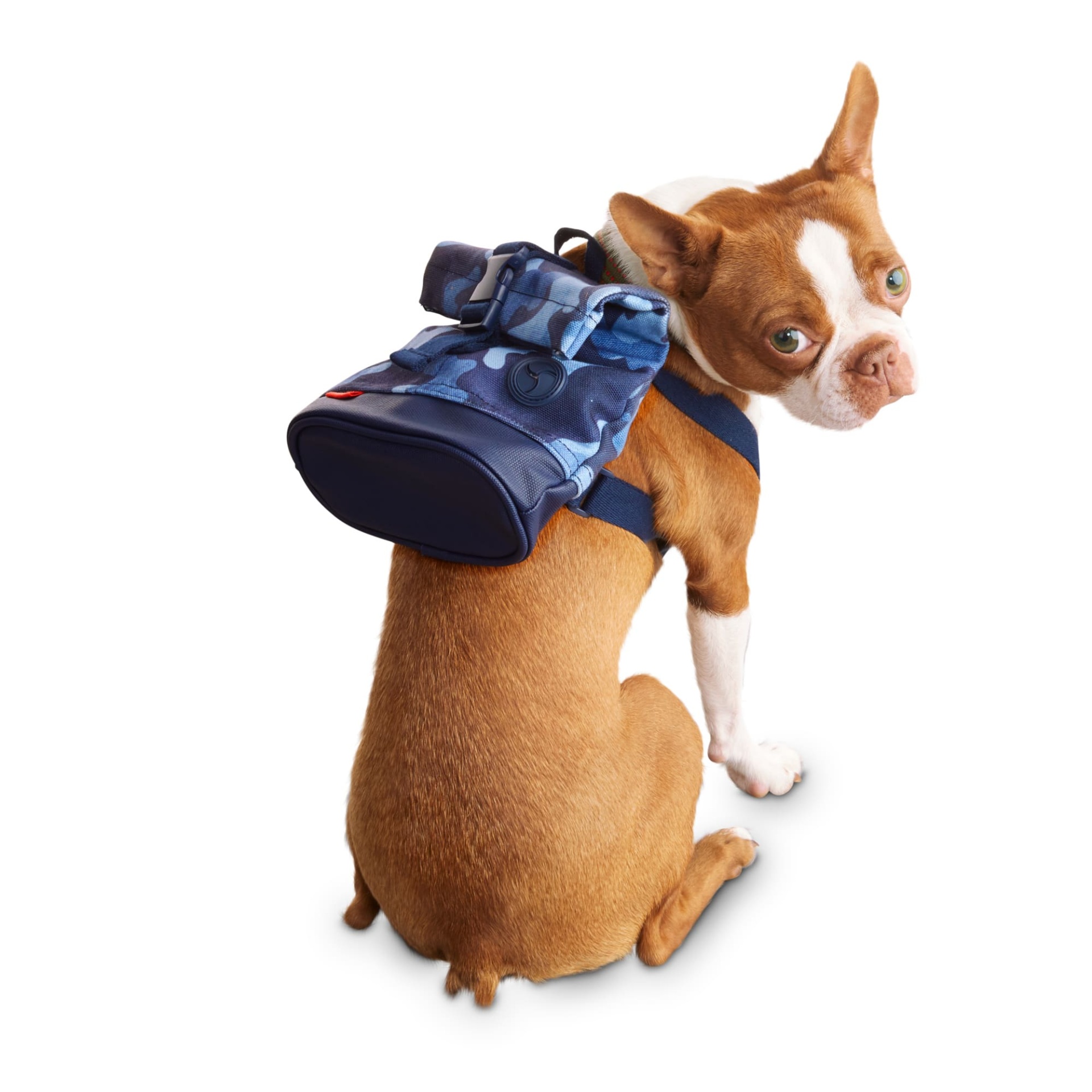 Reddy Indigo Watercolor Camo-Print Canvas & Leather Dog Backpack ...