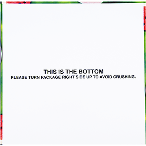 Friendly's Wattamelon Roll Seasonal Sherbet 58 fl oz | Shipt