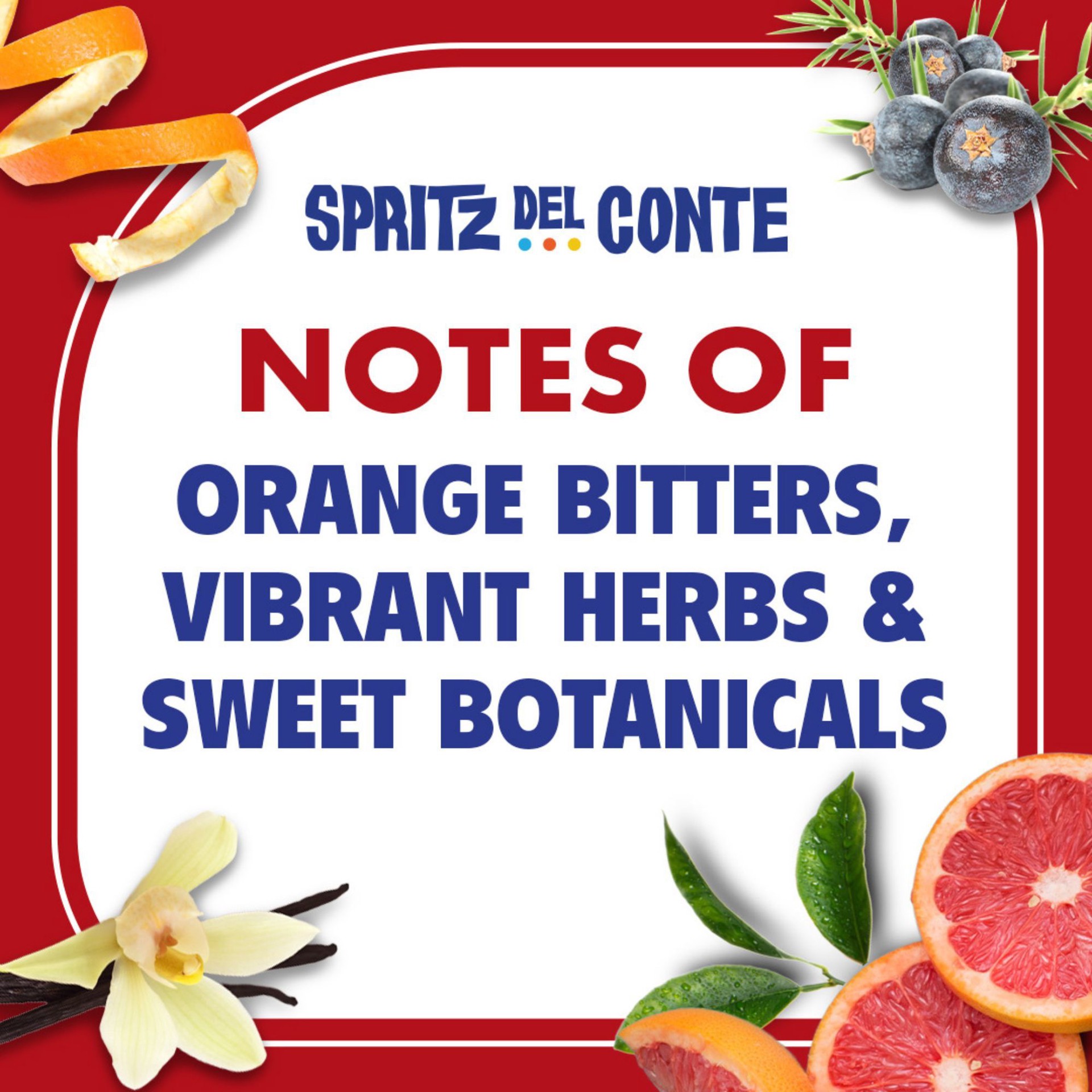 Spritz Del Conte Negroni Italian Aperitif-Style Spritz Cocktail 750 ml ...