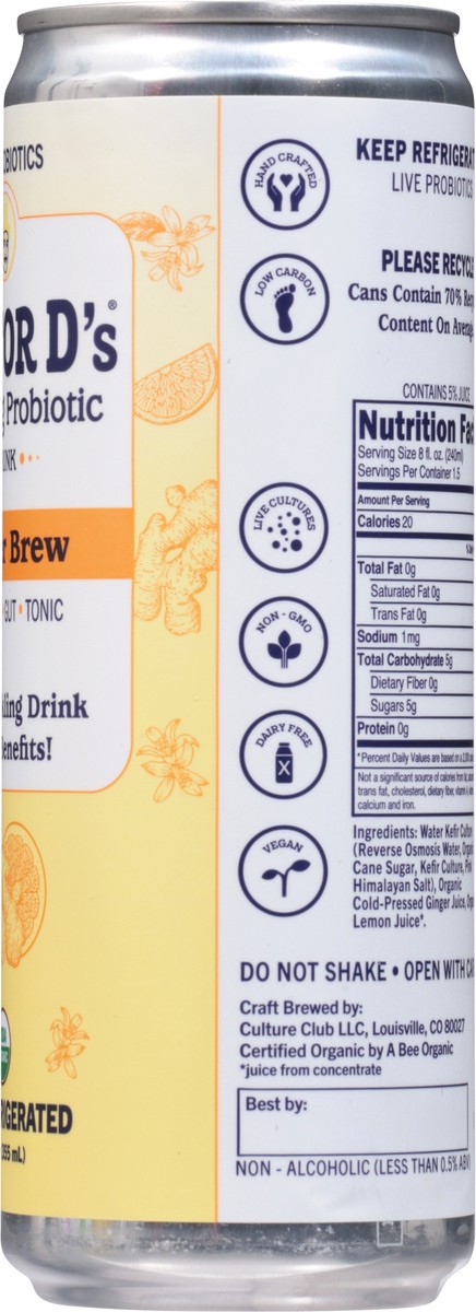 Doctor D's Sparkling Probiotic Drink Ginger Brew, 12 fl oz 12 fl oz | Shipt