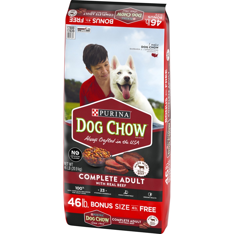 Purina Dog Chow Complete Adult With Real Beef Dry Dog Food 46 lb | Shipt