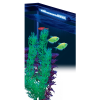 Tetra Glofish 8" LED Light Stick, Blue 8 in | shipt