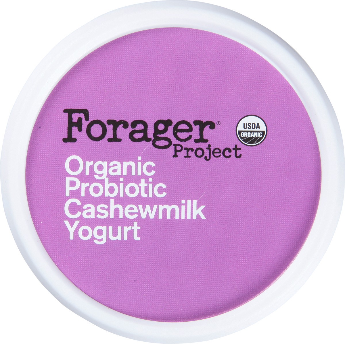 Forager Project Organic Dairy Free Cashewmilk Yogurt, Unsweetened ...