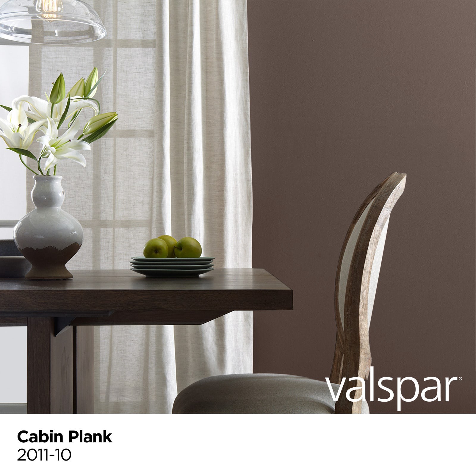 Valspar Pro ExpressCoat Semi-gloss Cabin Plank 2011-10 Latex Interior ...