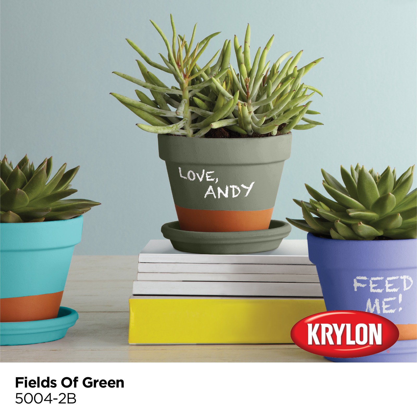 Krylon Latex Fields Of Green 5004-2B Chalkboard Paint (1-quart) 1 ct ...