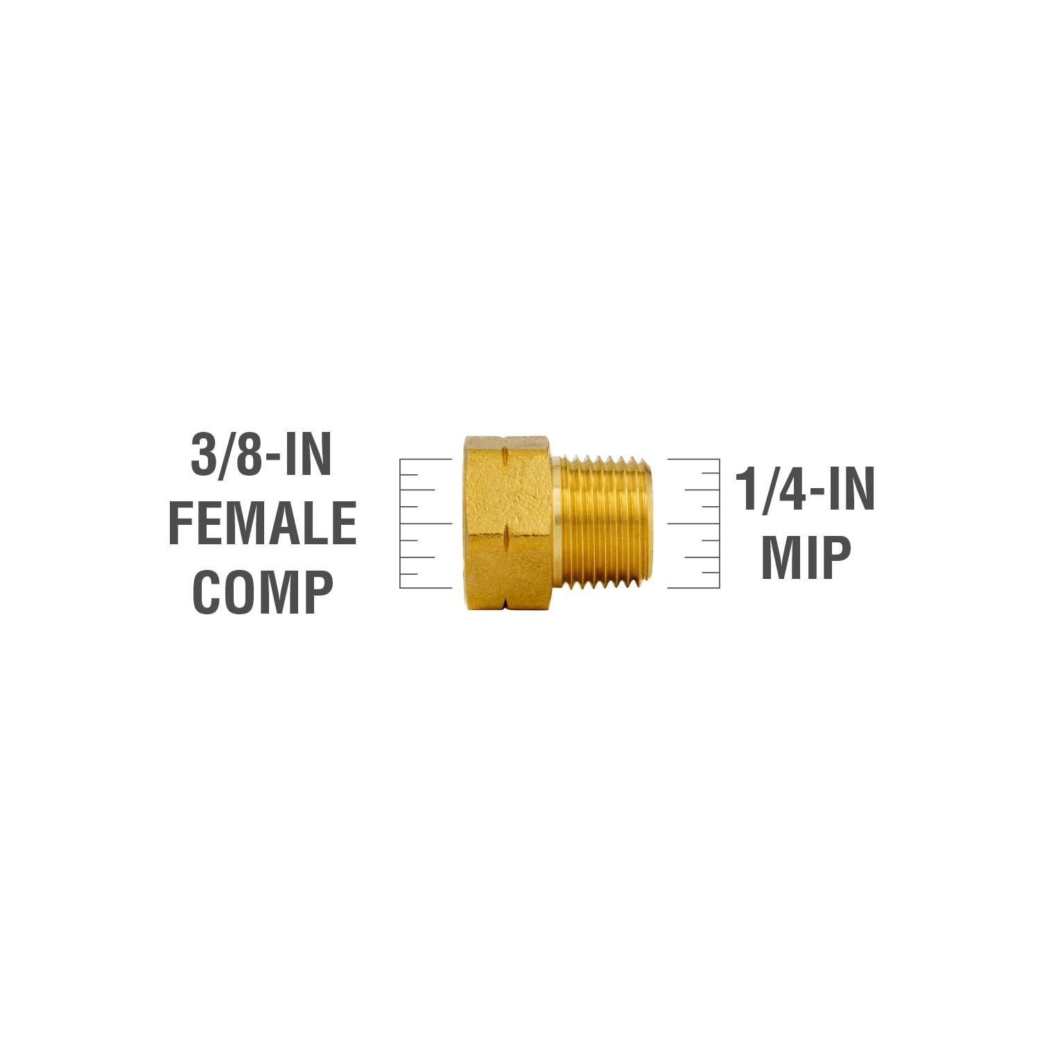 Proline Series 3/8-in x 1/4-in Compression Male Adapter Fitting 1 ct ...