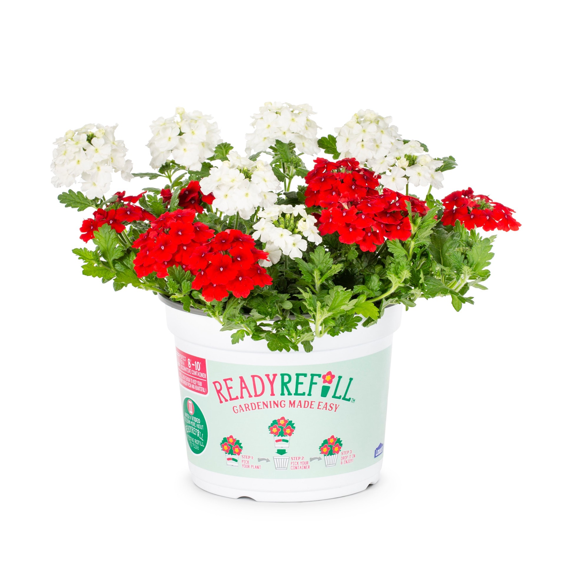 Ready Refill Multicolor Mixed Annuals Combinations in 3-Quart Pot 1 ct ...
