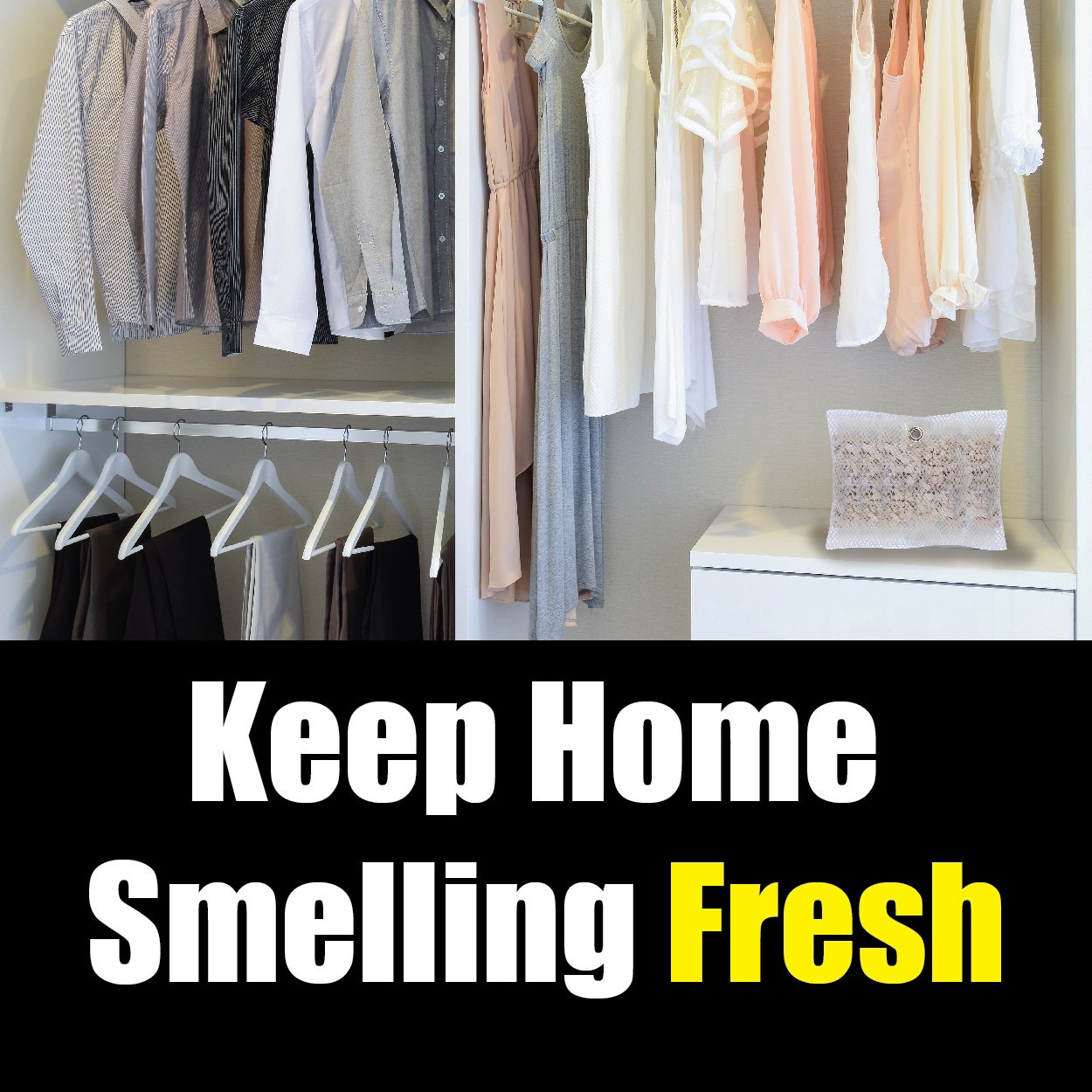 Gonzo Natural Magic Rechargeable Odor Eliminating Rocks 32 -oz Air ...