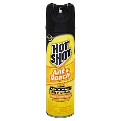 Hot Shot Lemon Scent Ant And Roach Killer Insecticide Spray 17.5 oz | Shipt