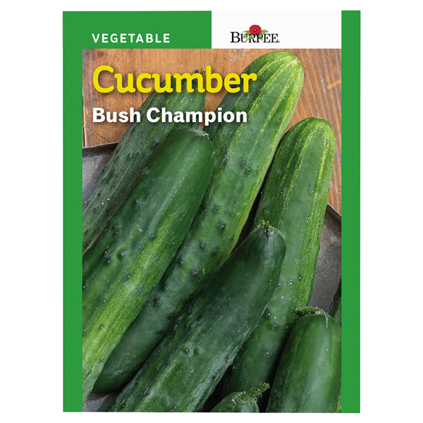Burpee Cucumber Bush Champion Seeds 1 ct | Shipt