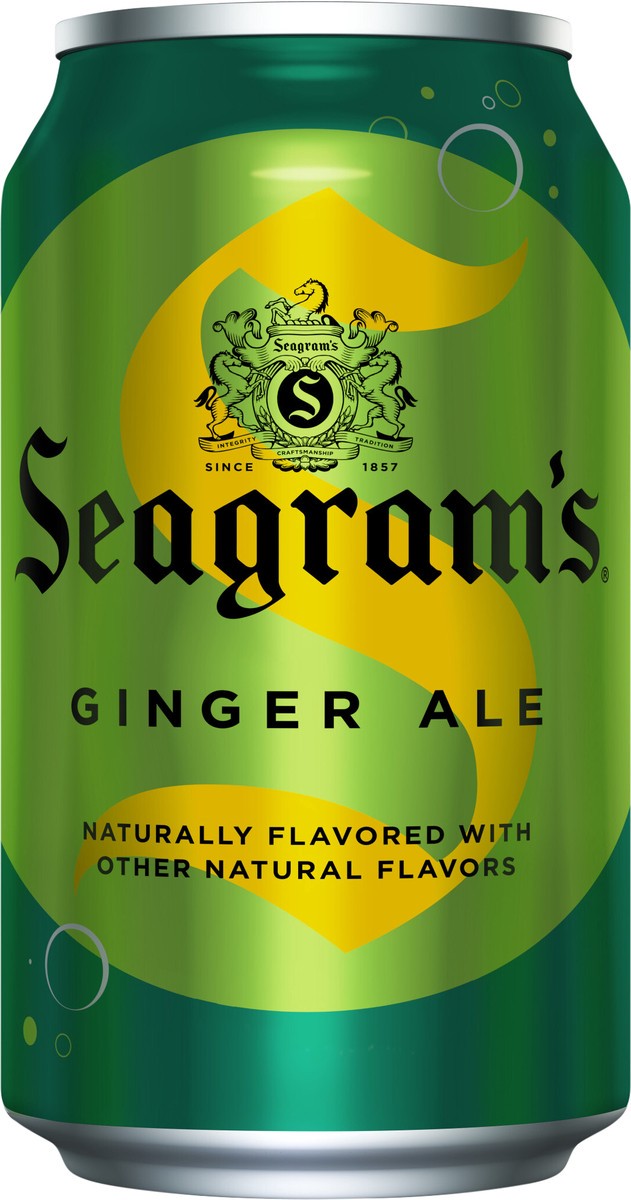 Seagram's Seagrams Ginger Ale Can, 12 fl oz 12 fl oz | Shipt