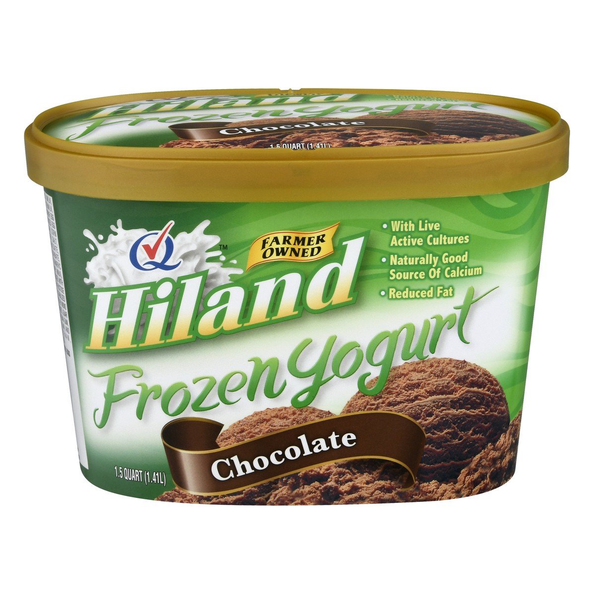 Hiland Dairy Chocolate Frozen Yogurt 1.5 qt 1.5 qt | Shipt