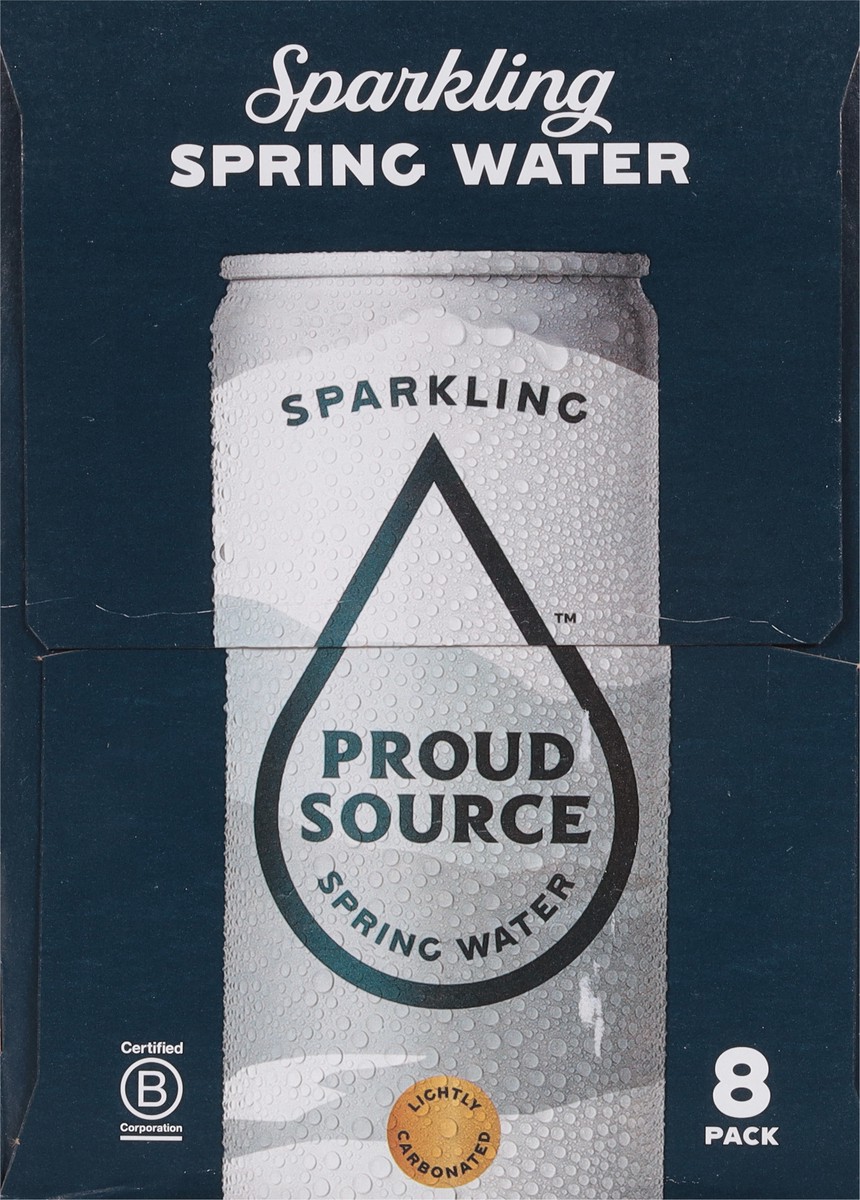 Proud Source Sparkling Spring Water 8 - 12 fl oz Cans 8 ct | shipt