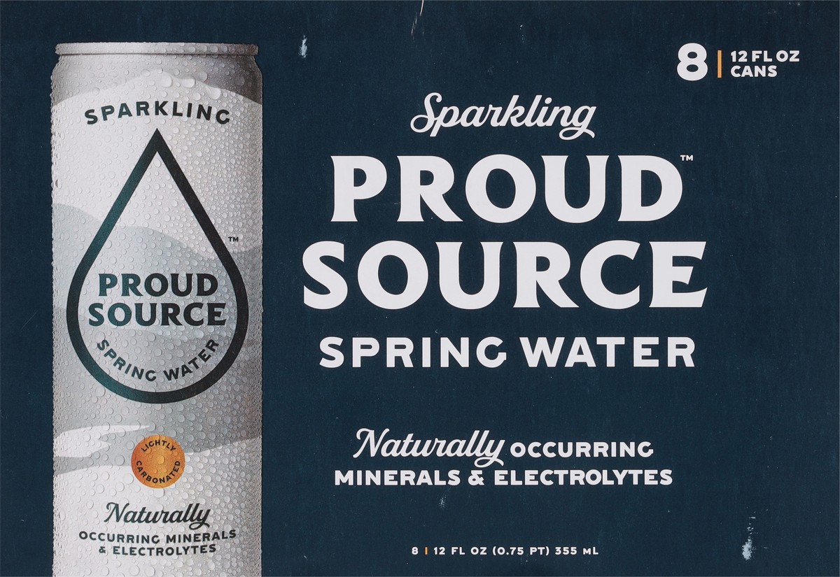 Proud Source Sparkling Spring Water 8 - 12 fl oz Cans 8 ct | shipt