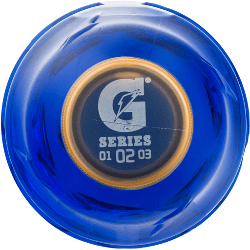 Gatorade G2 Perform Low Calorie Blueberry-Pomegranate Thirst Quencher ...