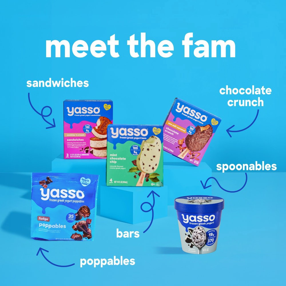 Yasso Frozen Greek Yogurt Chocolate Chip Cookie Dough 14 fl oz 14 fl oz ...