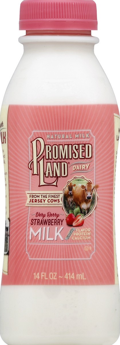 Promised Land Milk 14 oz 16.9 fl oz | Shipt