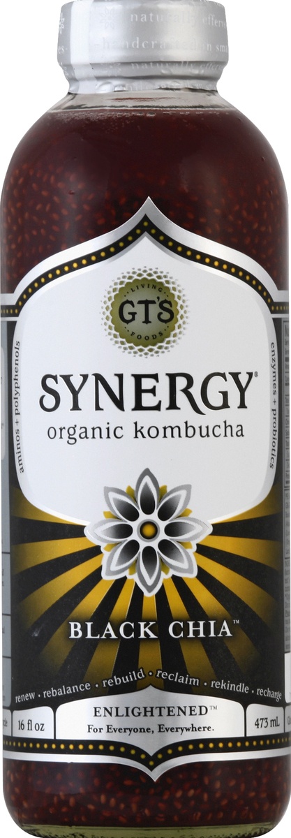 GT's Synergy Black Chia Komboucha 16 fl oz | Shipt