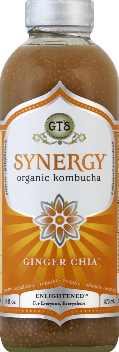 GT's Synergy Organic Kombucha Ginger Chia 16 fl oz | Shipt
