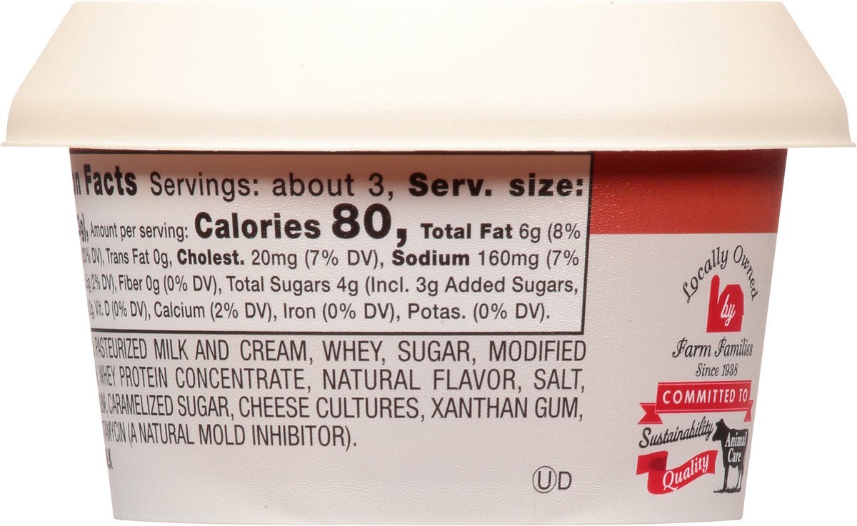 Prairie Farms Seal Salt Caramel Cream Cheese Spread 35 Oz Bowl 35 Oz Shipt
