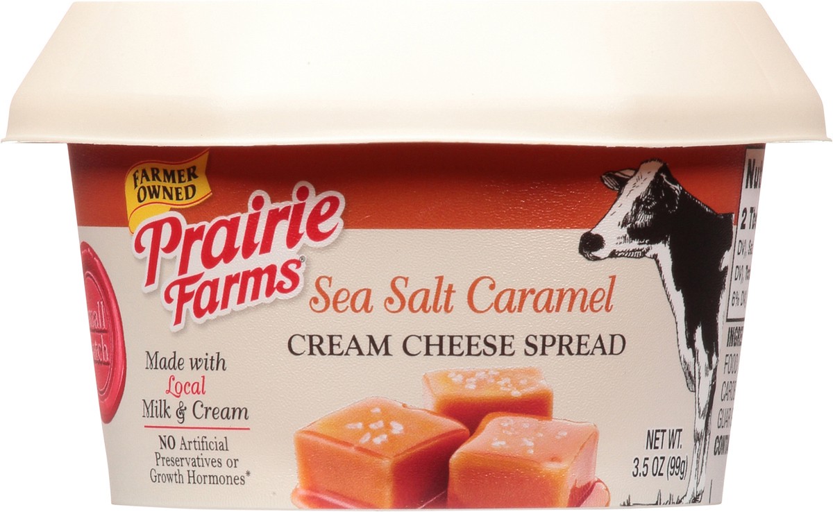 Prairie Farms Seal Salt Caramel Cream Cheese Spread 3.5 oz Bowl 3.5 oz ...