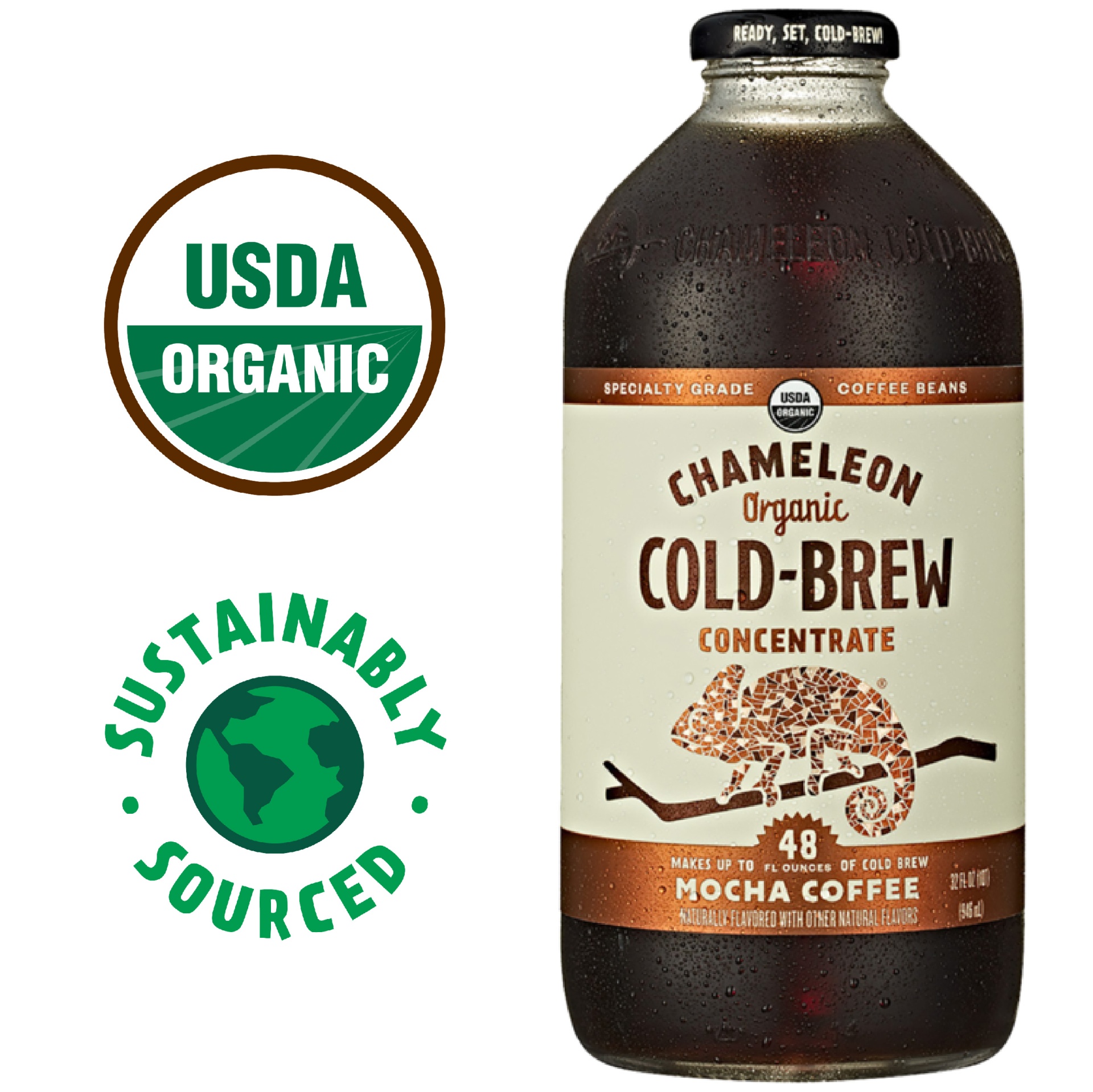 Chameleon Cold-Brew Mocha Coffee Concentrate 32 fl oz | Shipt