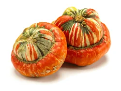 Northgate Squash Turbin 1 ct | shipt