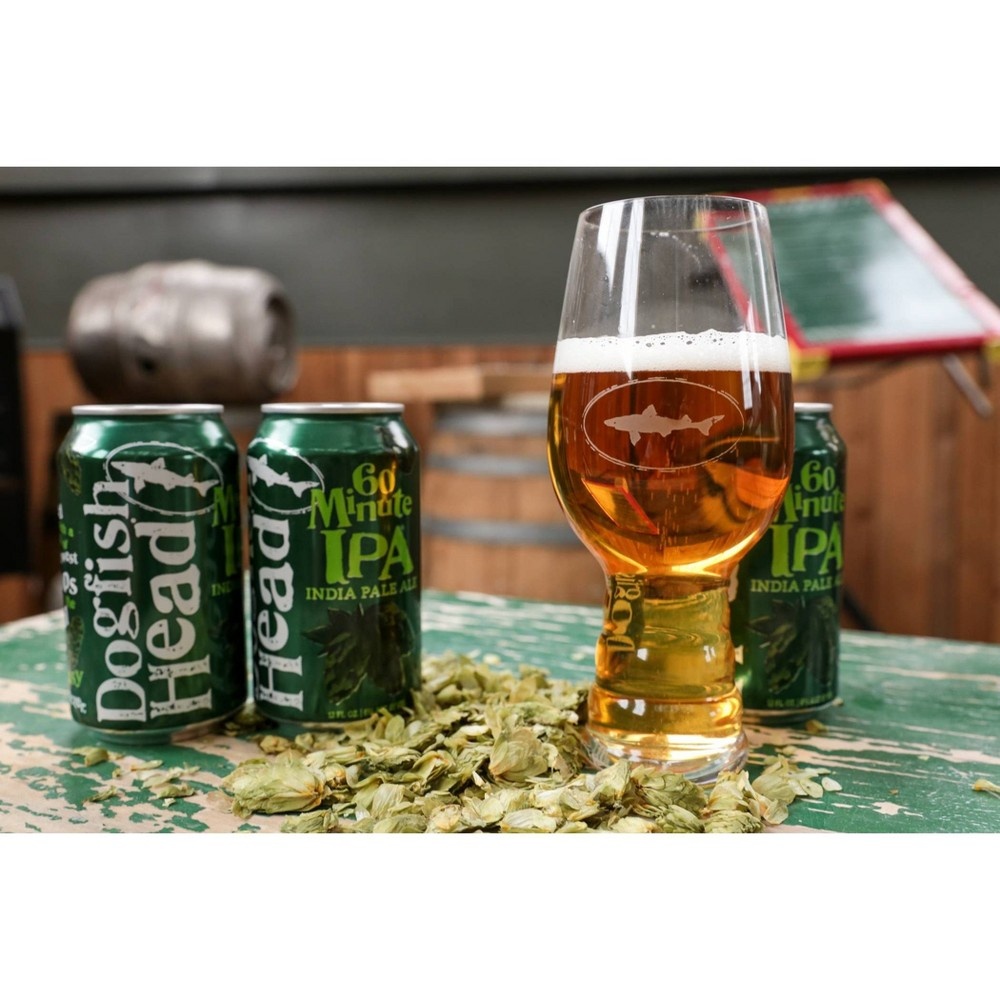 Dogfish Head 60 Minute IPA Beer 6 ct, 12 fl oz | Shipt