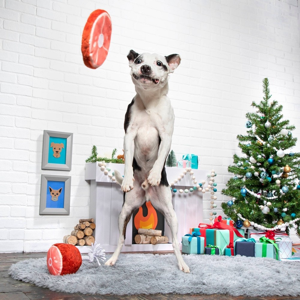 BARK Christmas Ham Dog Toy - Wham Bam Ham 1 ct | Shipt