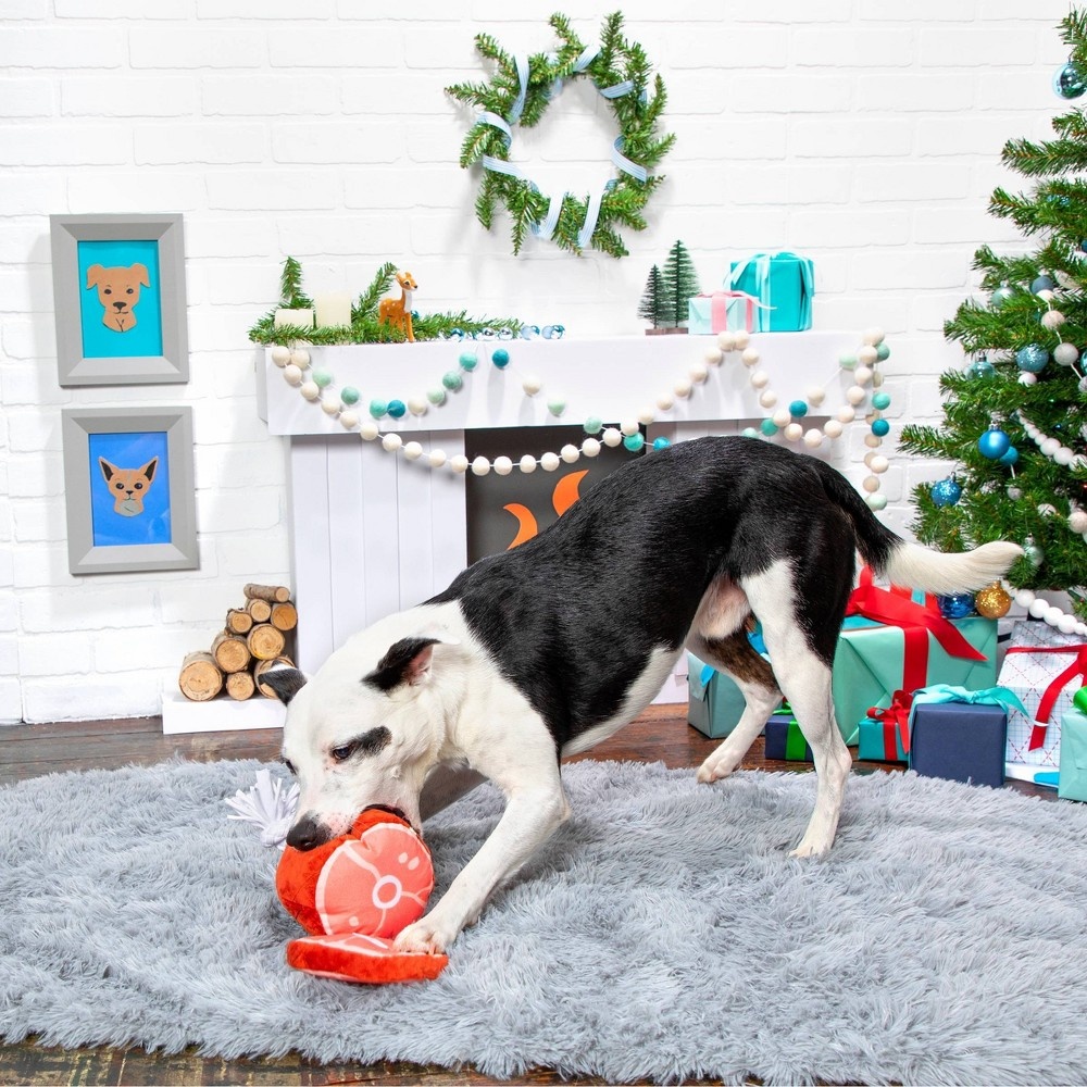 BARK Christmas Ham Dog Toy - Wham Bam Ham 1 ct | Shipt