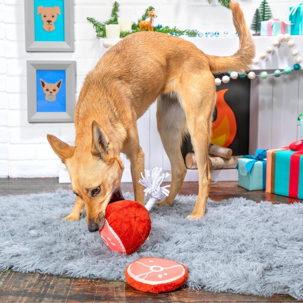BARK Christmas Ham Dog Toy - Wham Bam Ham 1 ct | Shipt