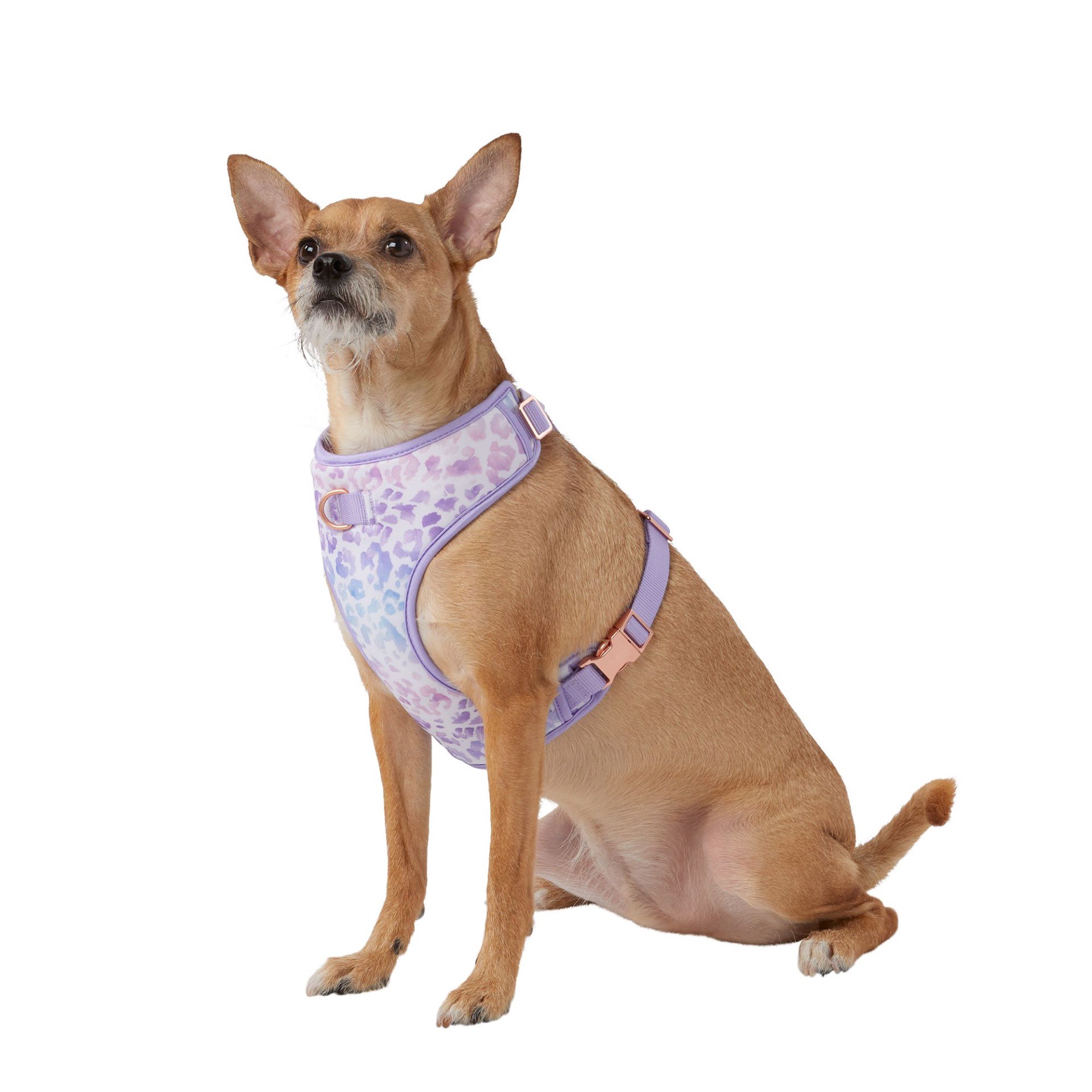 Top Paw Purple Cheetah Dog Harness MED | shipt