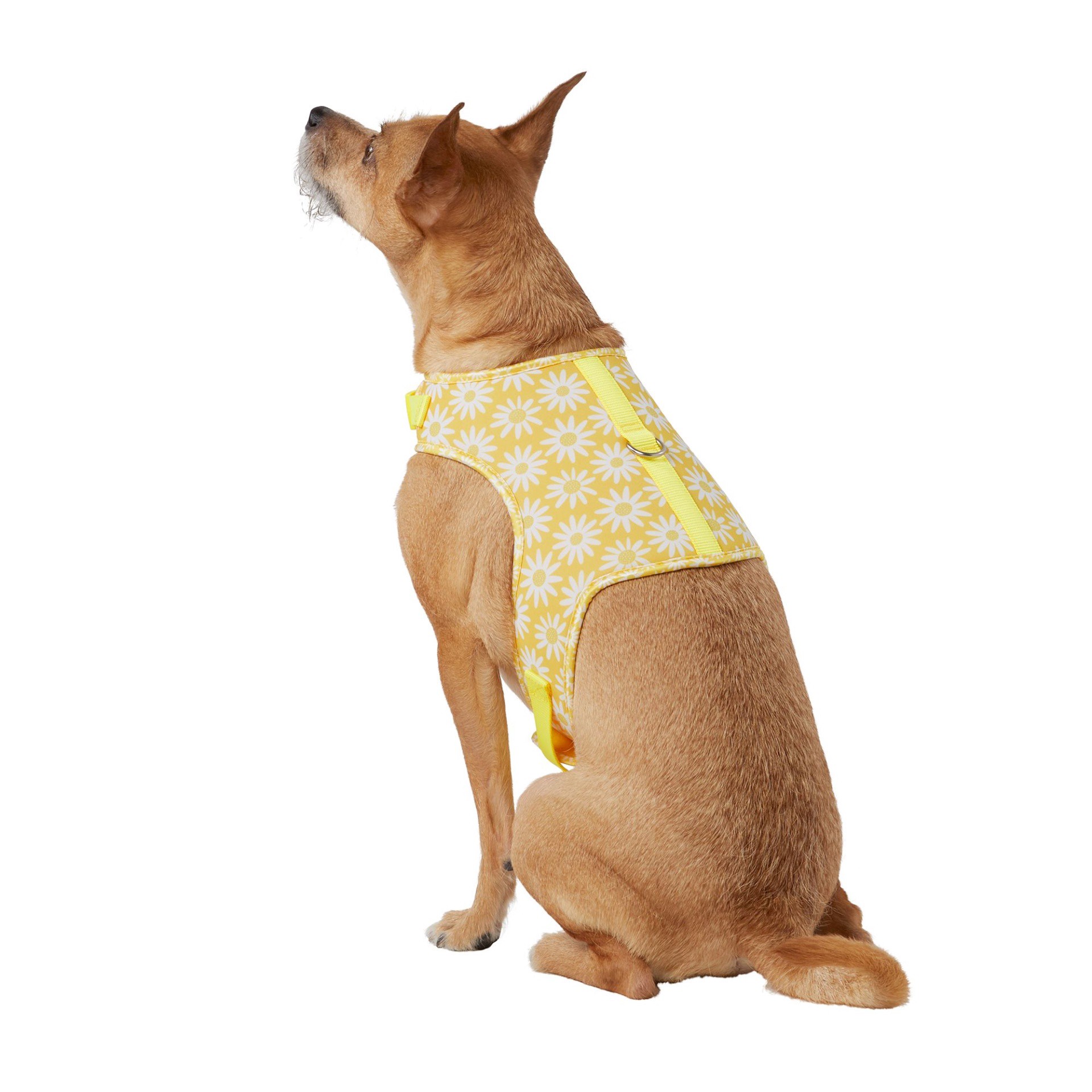 Top Paw Daisy Vest Dog Harness SM | shipt