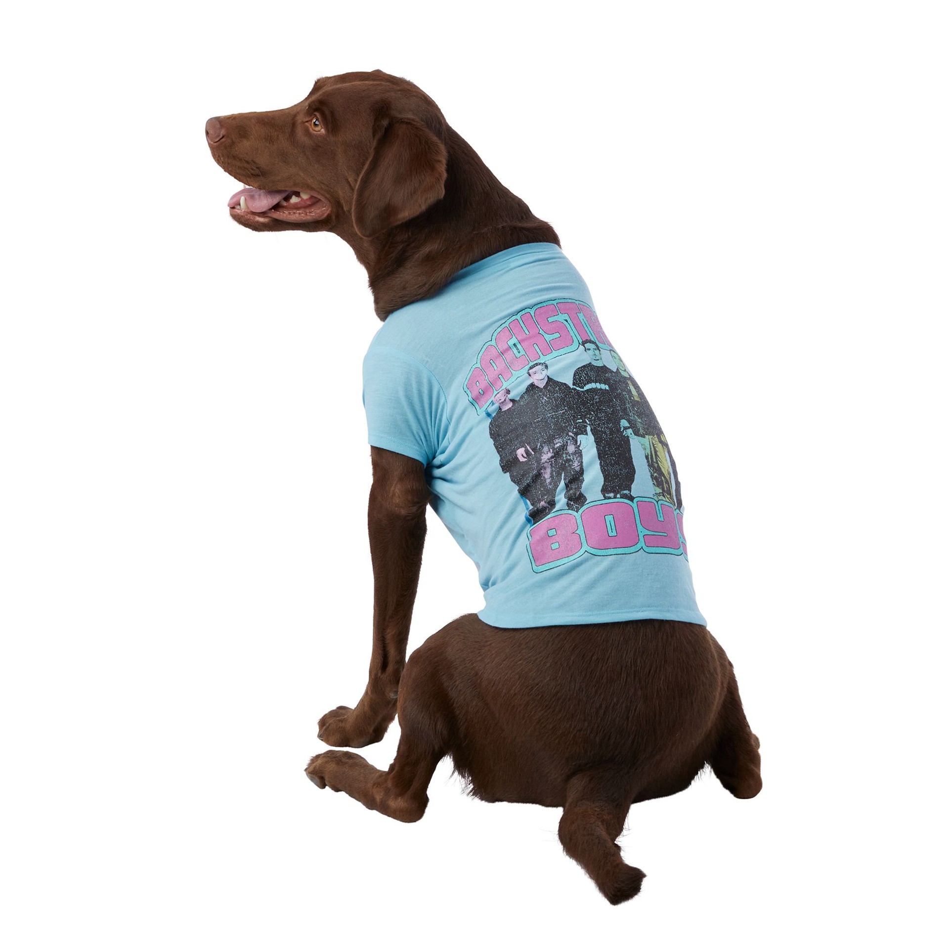 Blended Clothing Backstreet Boys Dog Tee LG | shipt